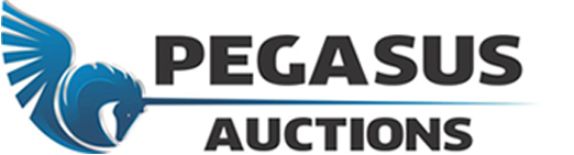 Pegasus Auctions AB | 13451