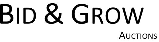 Bid and Grow Corp. | 12403